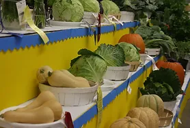 Competitive Exhibits | Delaware State Fair