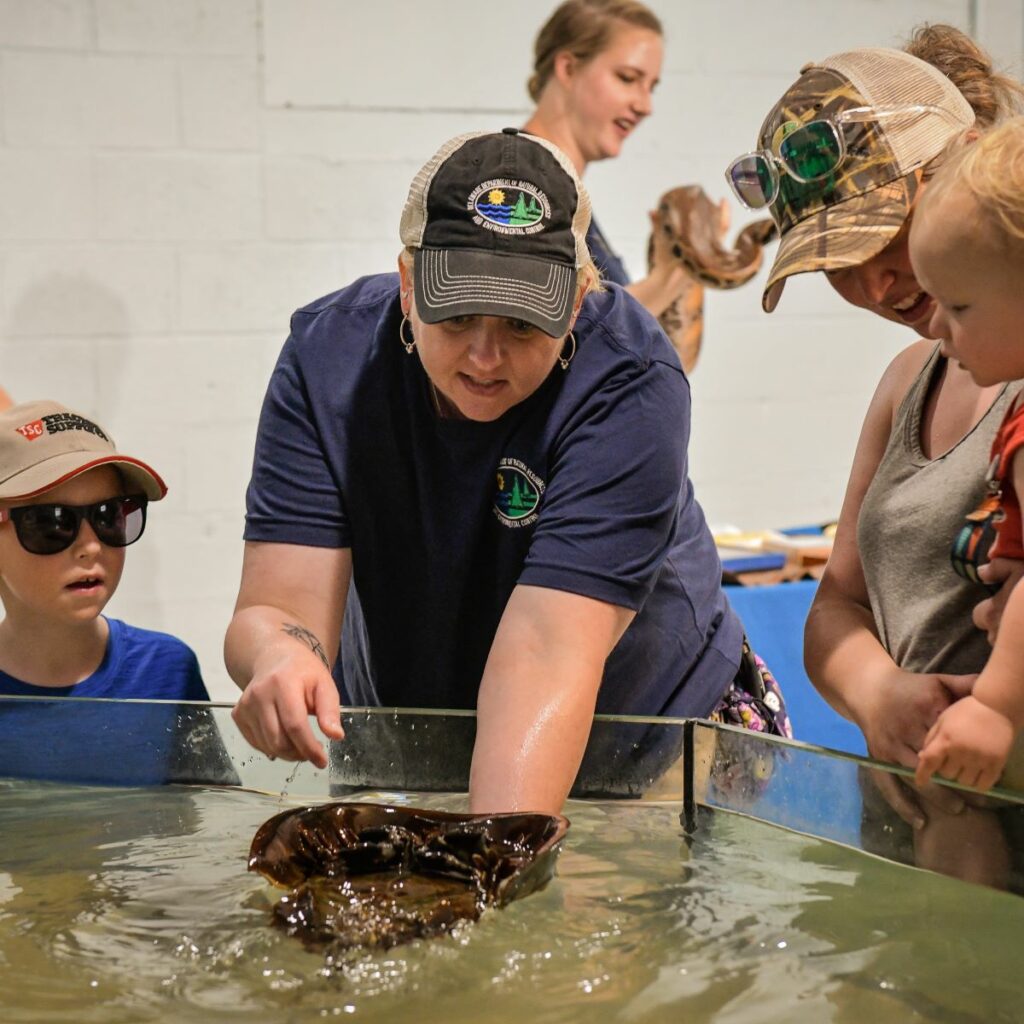 Grounds Entertainment | Delaware State Fair