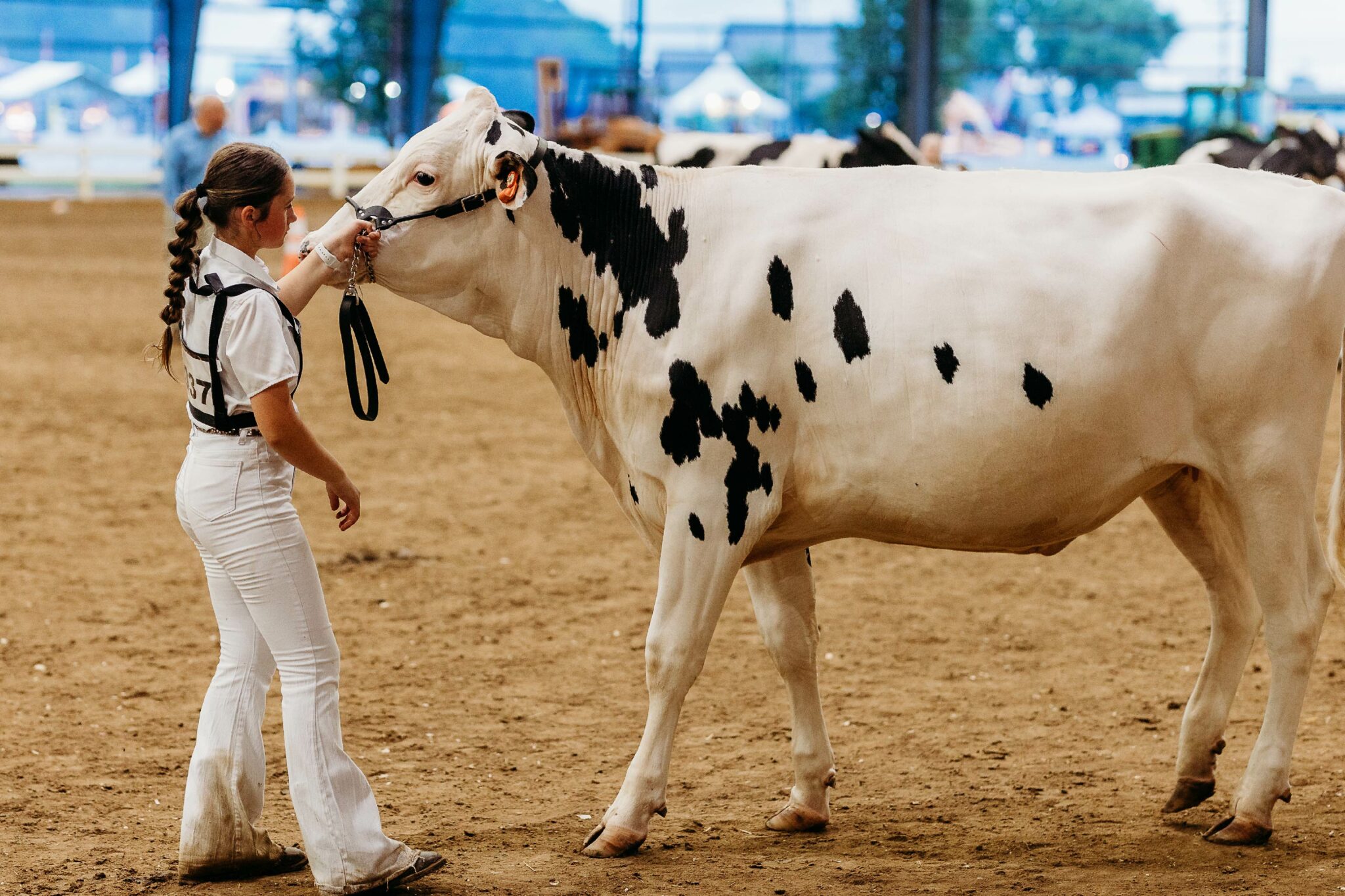 Livestock | Delaware State Fair