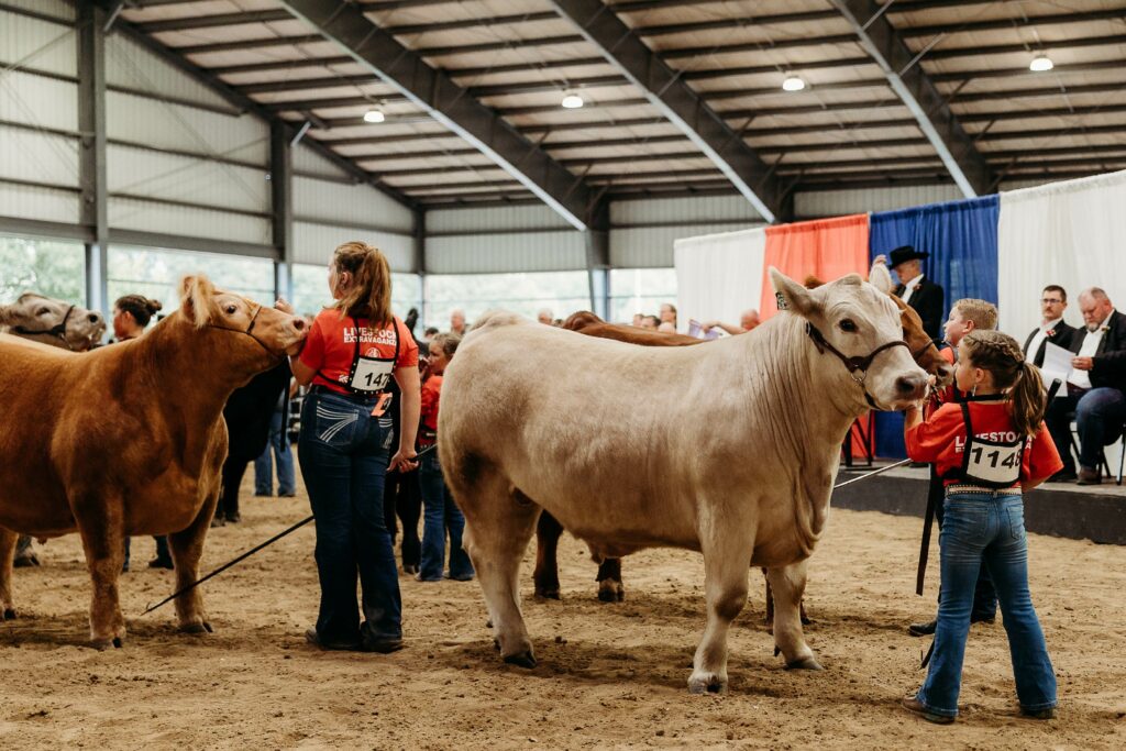Livestock | Delaware State Fair