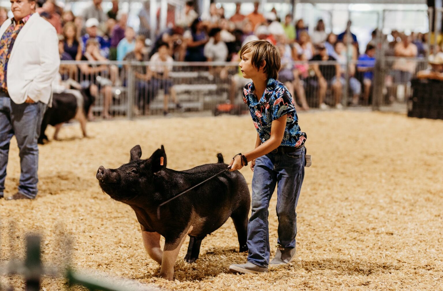 Virtual Barn Tours | Delaware State Fair