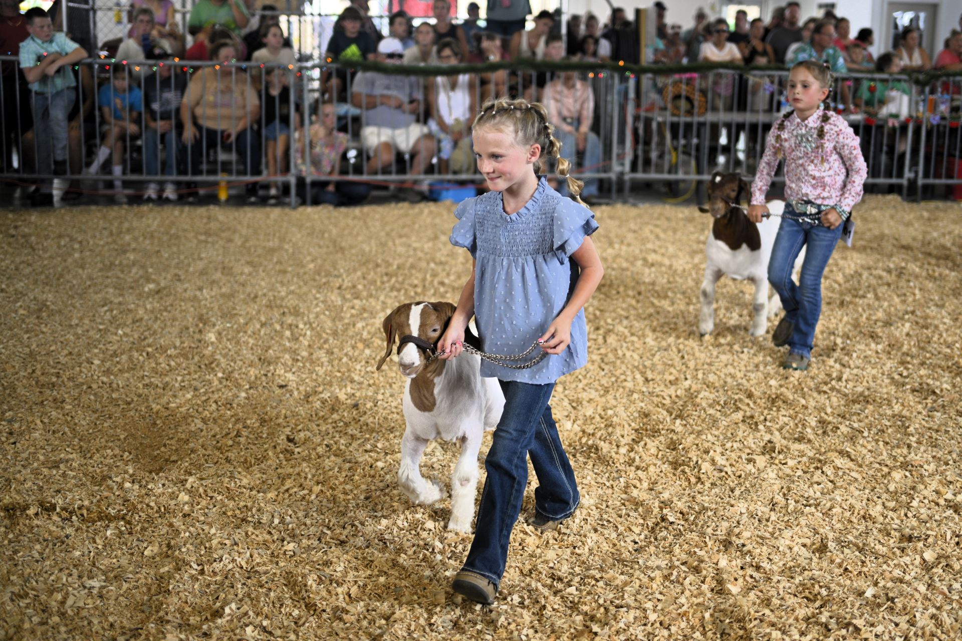 Virtual Barn Tours | Delaware State Fair